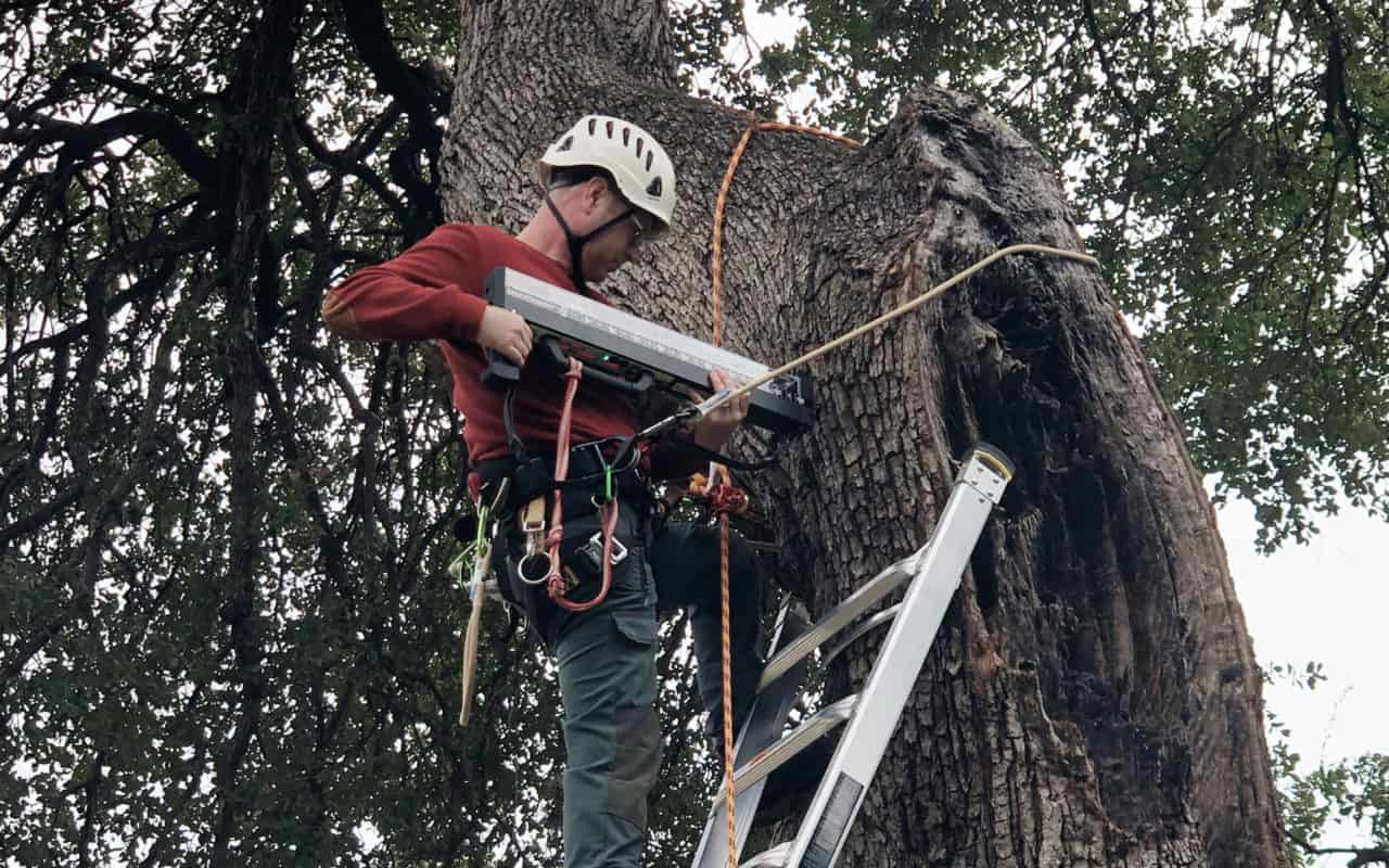 Talk to a Qualified ISA Certified Arborist - Heritage Tree Care